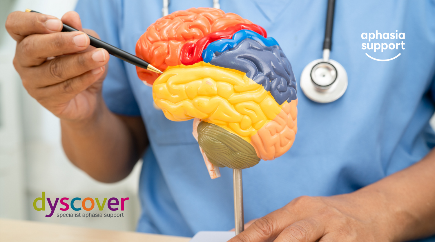 Understanding Primary Progressive Aphasia – Aphasia Support